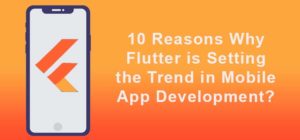 10 Reasons Why Flutter is Setting the Trend in Mobile App Development?